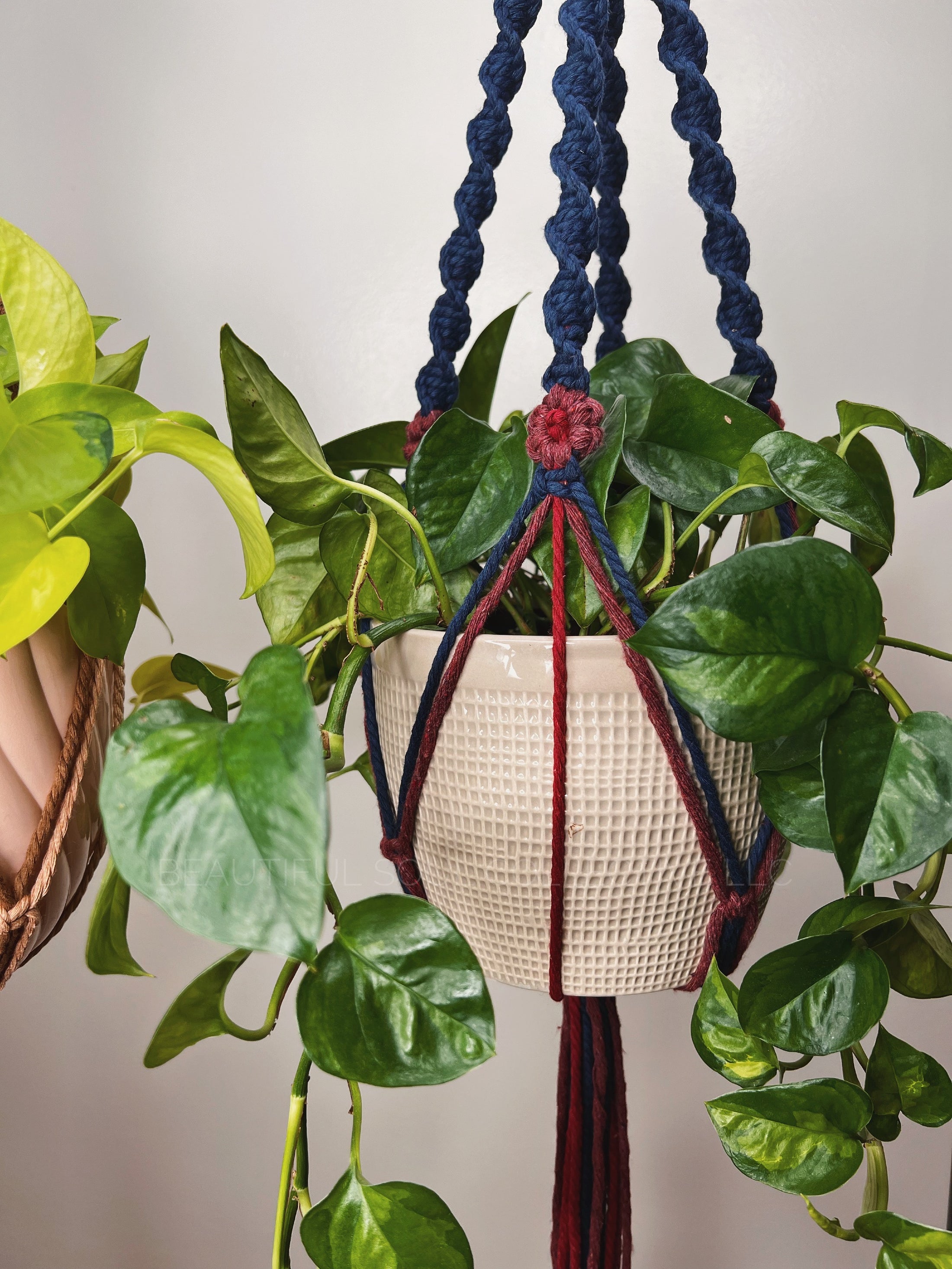 Spiral Plant Hanger – Beautiful Soul Collective