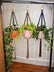 Spiral Plant Hanger – Beautiful Soul Collective